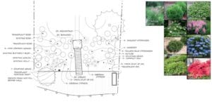 Landscape Design - East End Trees